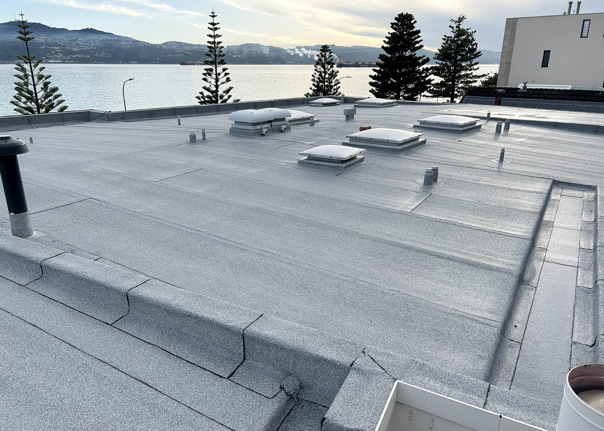 What Is SBS Roofing? Understanding 2-Ply and 3-Ply Systems for Flat ...